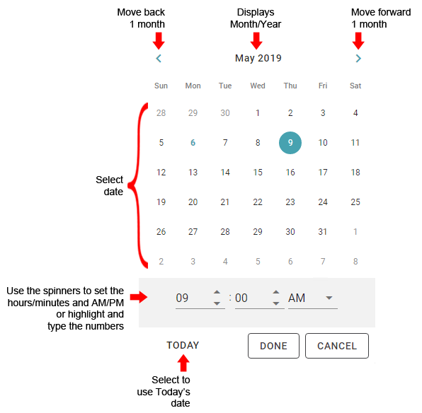 Using the Date/Time Picker